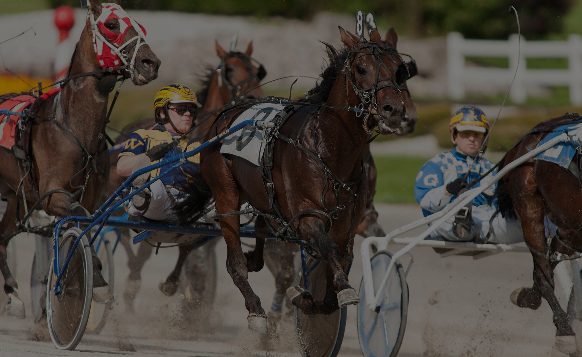 About OHHA - Ontario Harness Horse Association