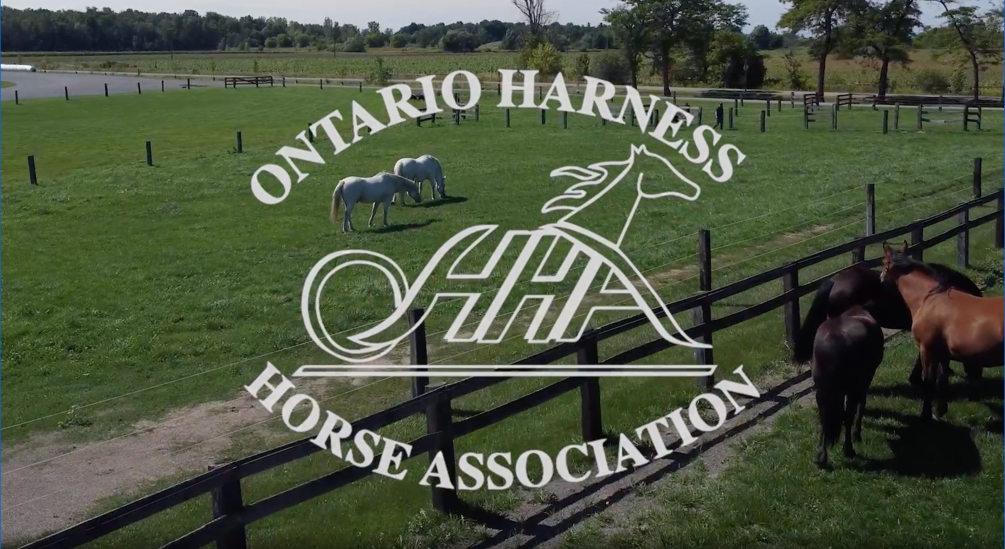 Home - Ontario Harness Horse Association