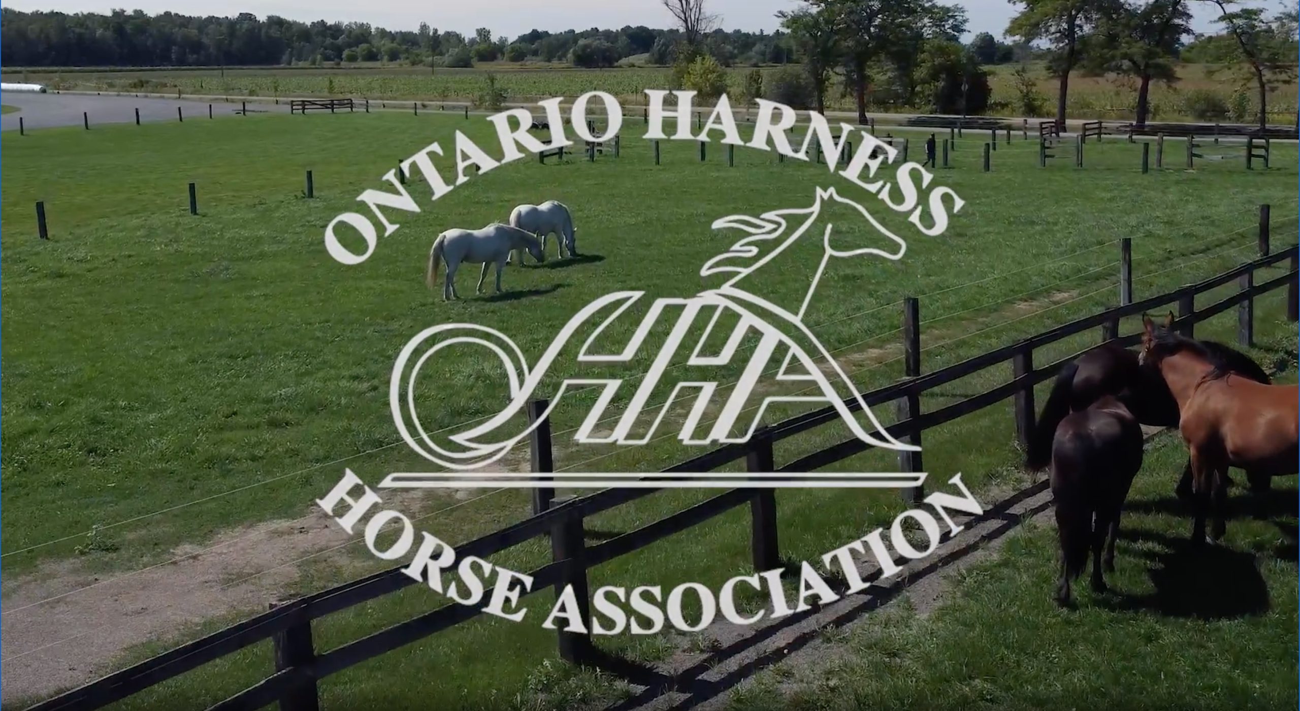 OHHA - Video Promo - Ontario Harness Horse Association