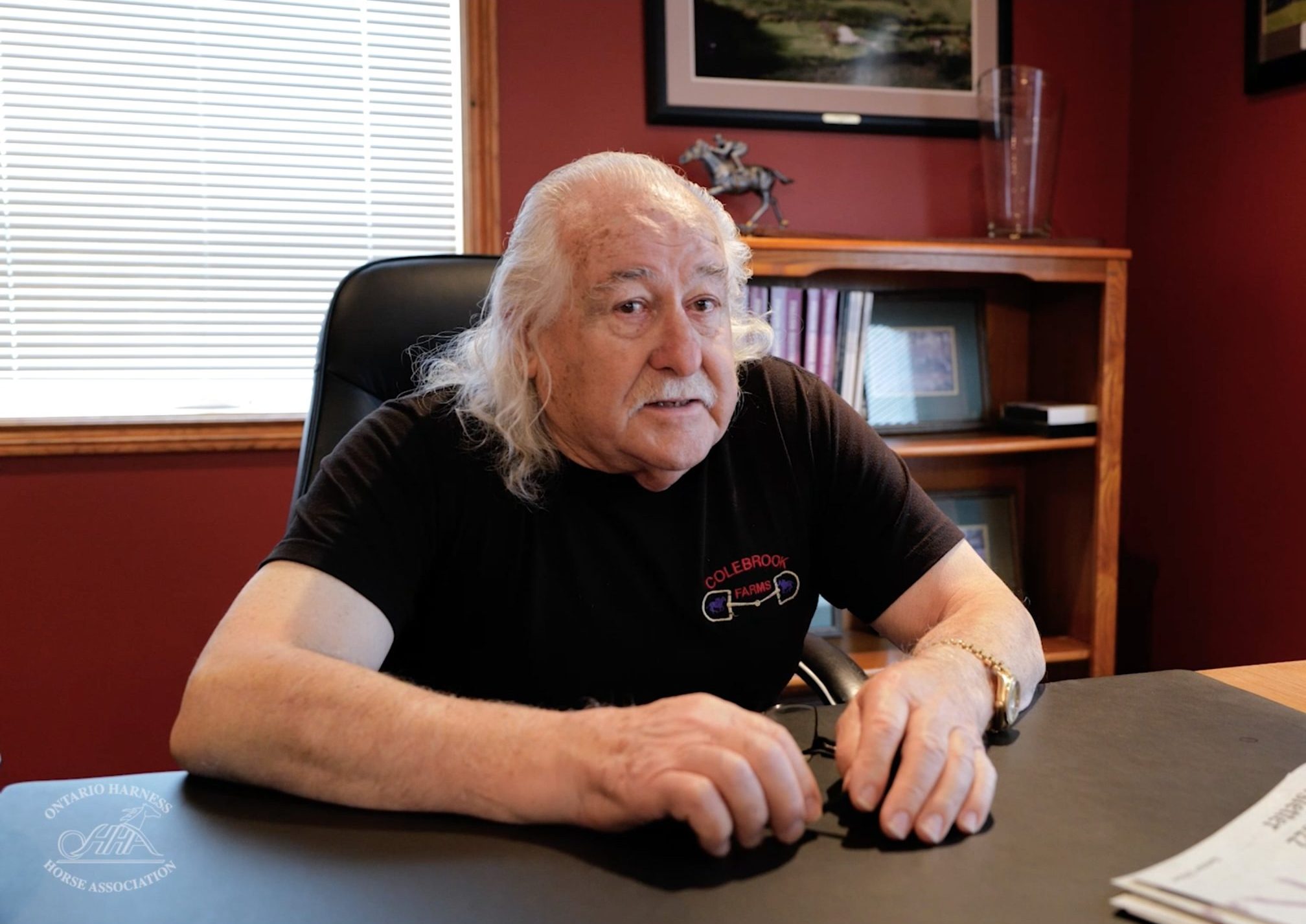 Home - Ontario Harness Horse Association